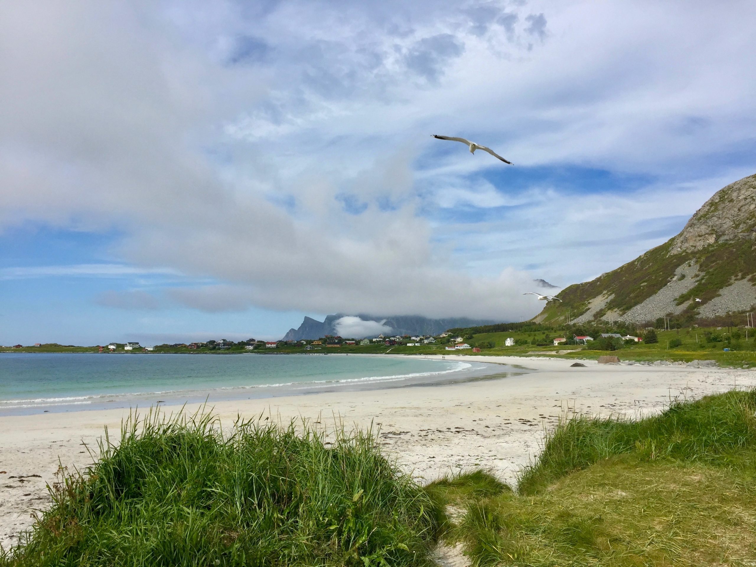 Nordover med bobilen? Besøk Lofoten! | Norges CaravanBransjeforbund